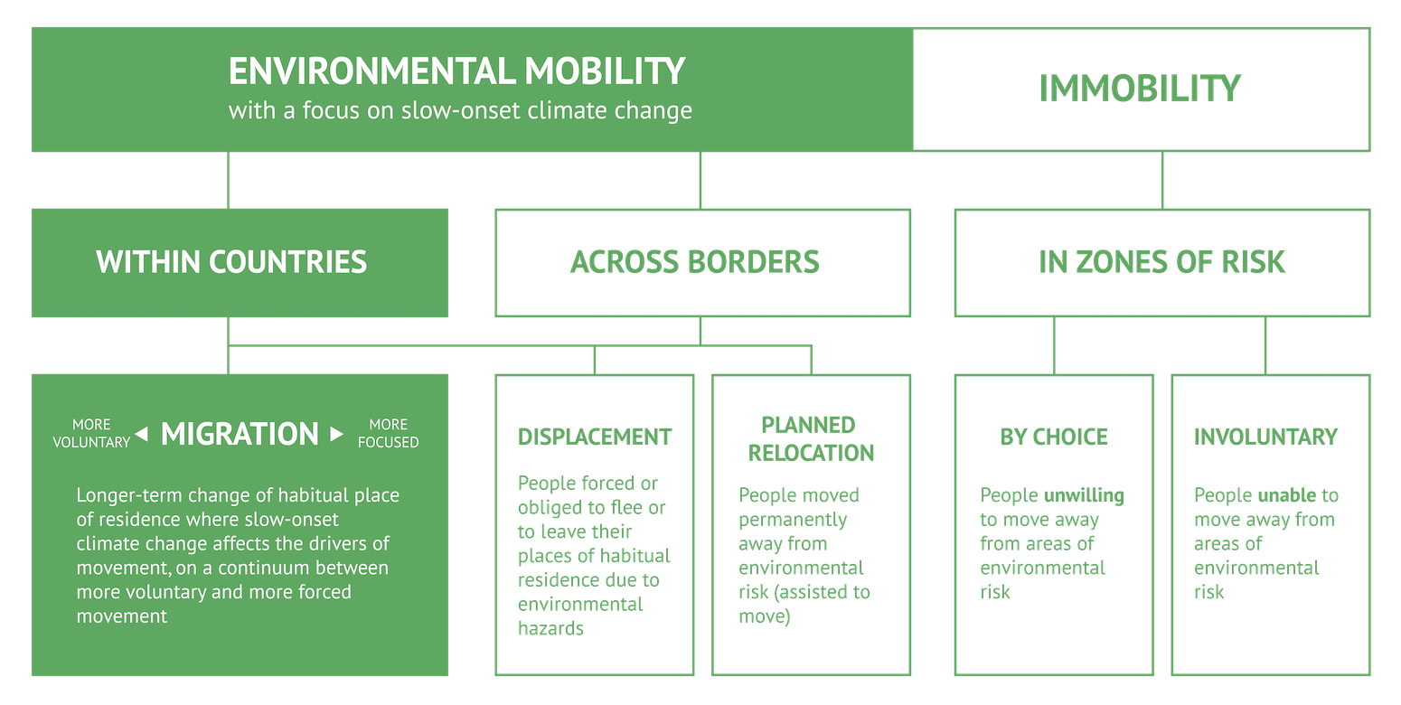 Forced Migration Human Geography